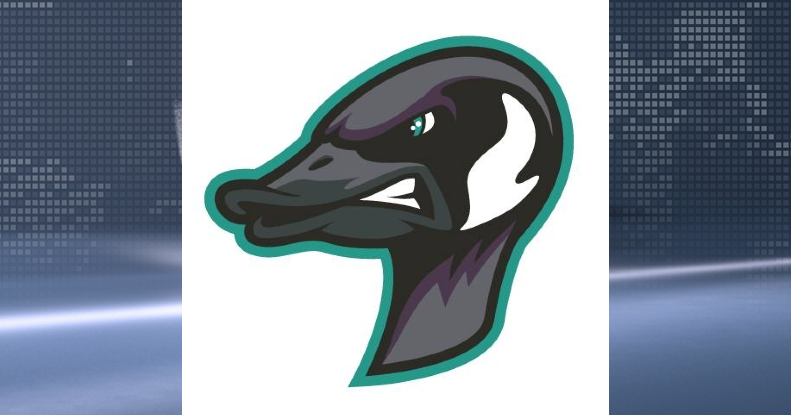 Rochester Honkers to leave Mayo Field after 2026 season | News | kimt.com