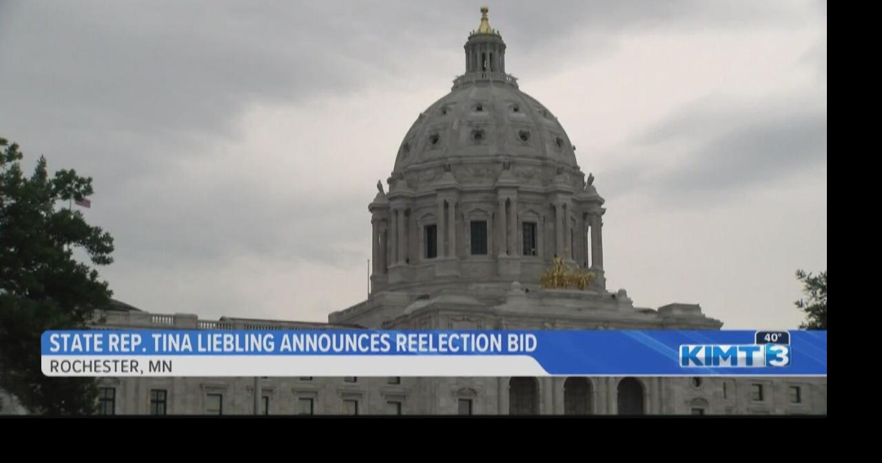 State Rep. Tina Liebling announces reelection bid | Campaign 2025 ...