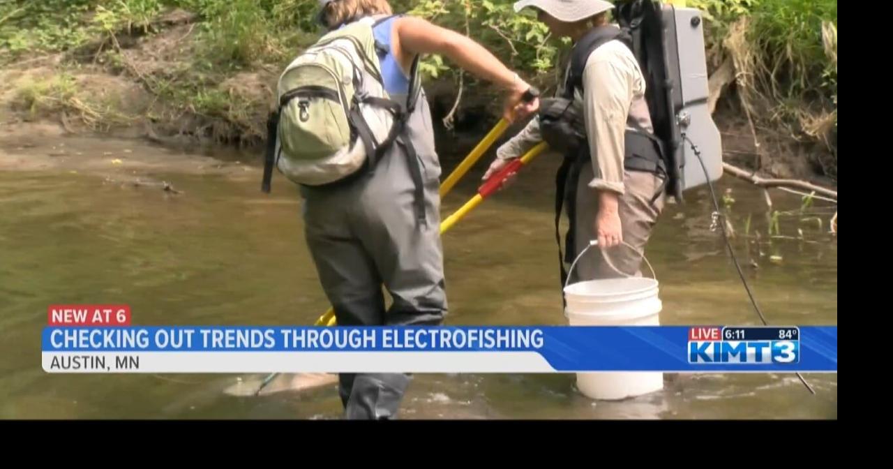Checking out trends through electrofishing | News | kimt.com