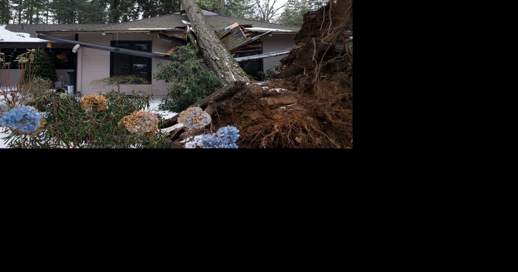 At least 33 dead from barrage of winter storms and cold – and there’s ...