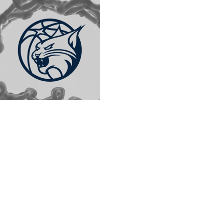 Natisha Hiedeman scores 18, Napheesa Collier adds 17 and the Lynx beat ...
