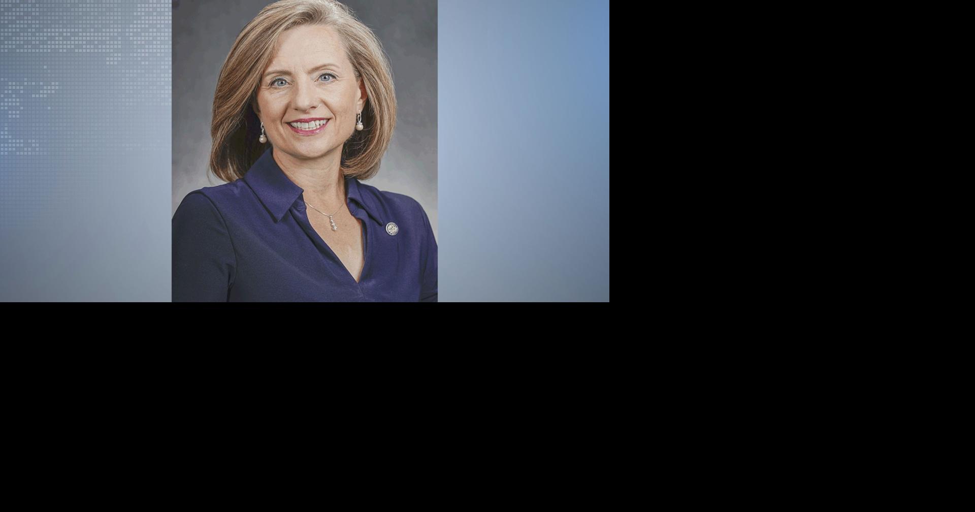 State Rep. Kristin Robbins ends bid for Minnesota governor | News ...