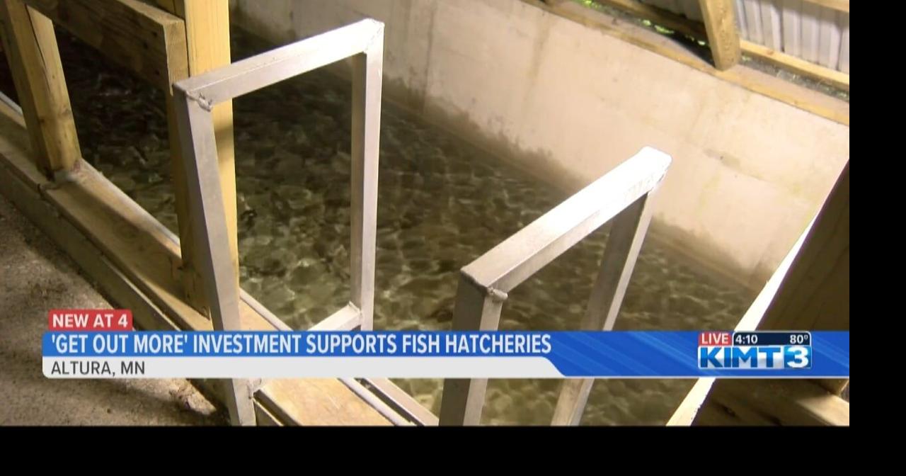 Minnesota DNR funds investment in state fish hatcheries | News | kimt.com