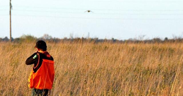 2025 Minnesota Governor's Pheasant Opener to be held in Ortonville ...