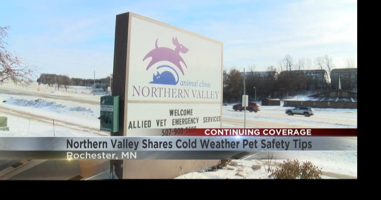 Northern Valley Animal Clinic gives cold weather tips for pets | Video ...