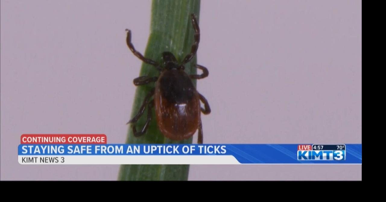 Staying safe from an uptick of ticks | News | kimt.com