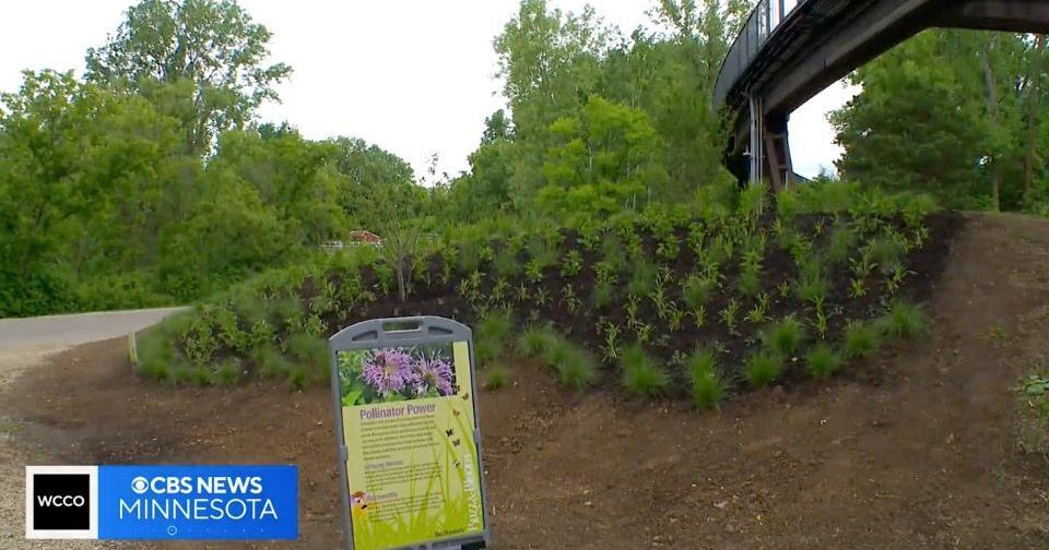 New first-of-its-kind garden at Minnesota Zoo aims to help pollinators ...