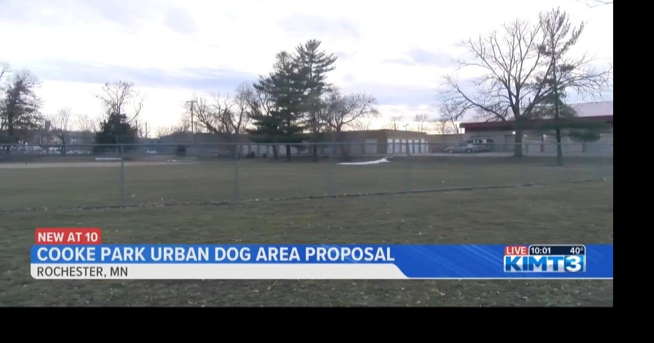 New Rochester dog park could be coming to Cooke Park in 2024 | News ...