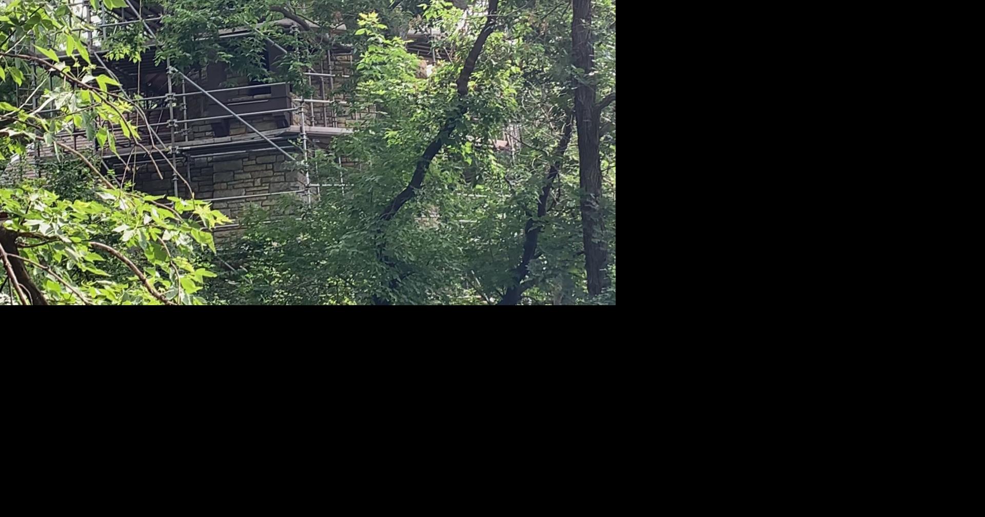 City of Rochester continues restoration of Plummer House | News | kimt.com