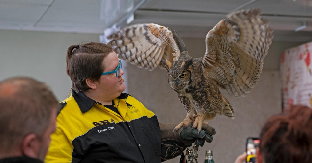 Houston Owl Center offers free entry Monday for Owl Awareness Day ...
