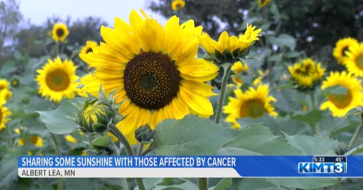 Sharing Some Sunshine With Those Affected By Cancer Freeborn Mower