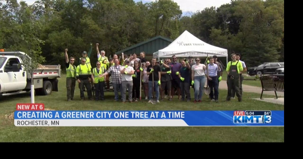 Creating a greener city one tree at a time | News | kimt.com