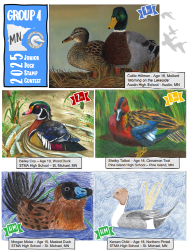 Austin high school student win Minnesota's Junior Duck Stamp Contest ...
