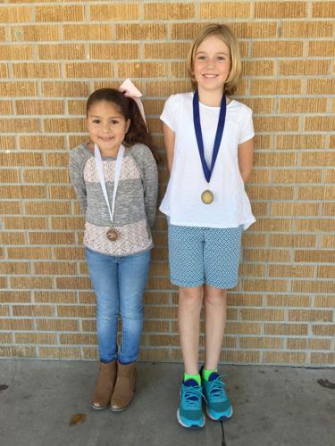 Ricardo ISD’s district science fair results posted | Education ...