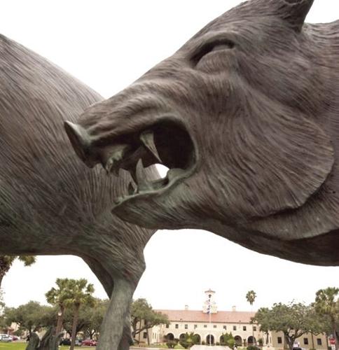 TAMUK joins JED Campus to support student mental health | News ...