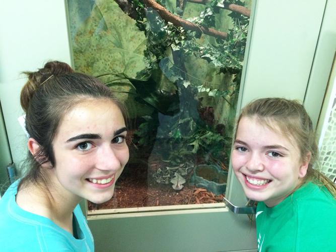 Riviera Kaufer students attend Viper Day at TAMUK | Education ...