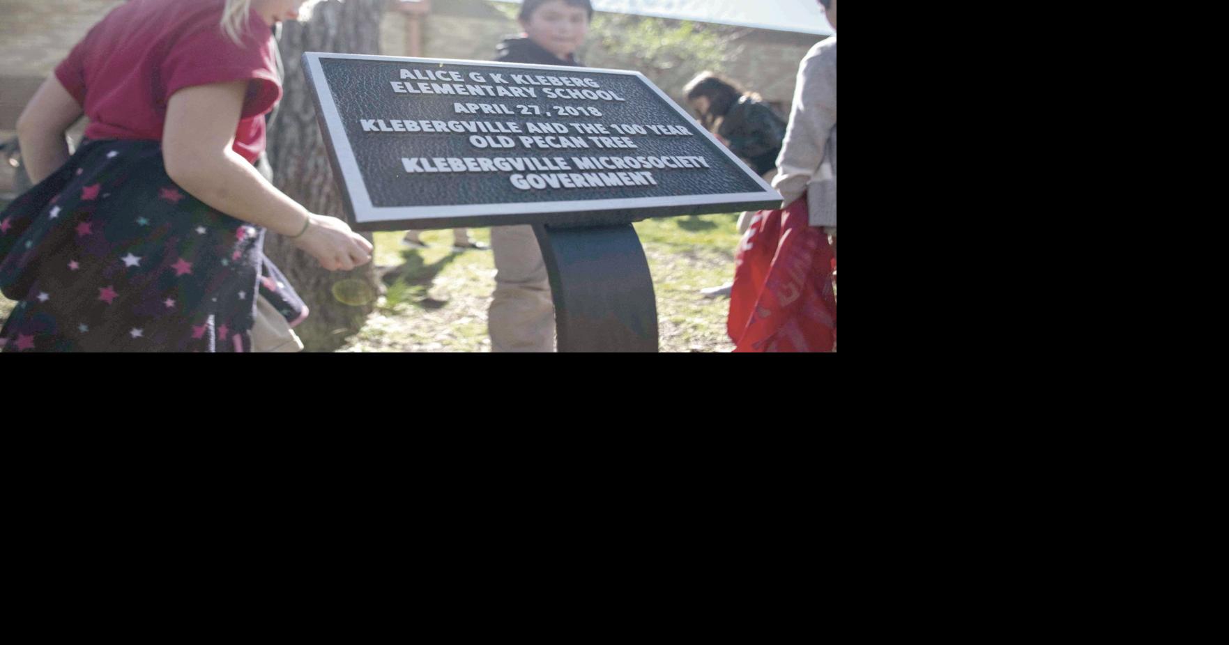 Century-old pecan tree honored with historical marker | News ...