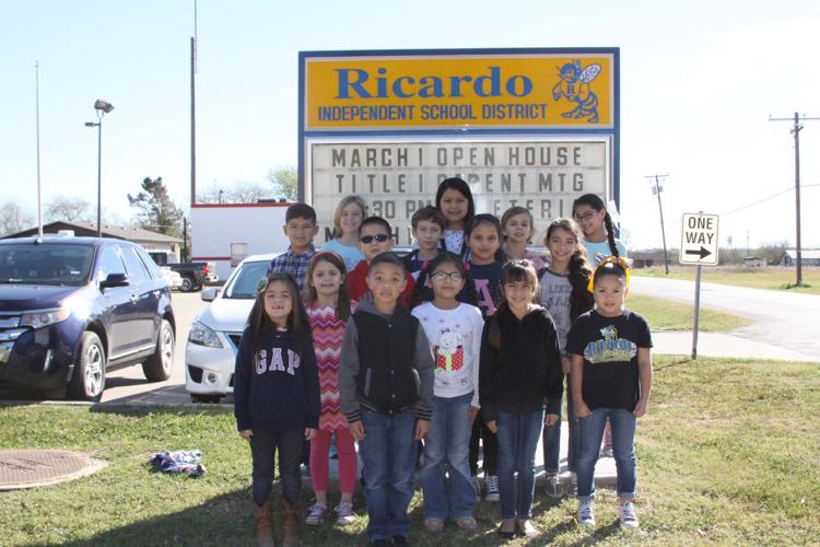 Ricardo ISD’s district science fair results posted | Education ...