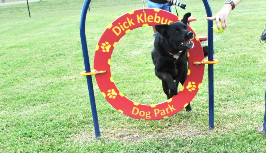 ‘WOOF!’ Dog Park opens at Dick Kleberg Park | News | kingsvillerecord.com