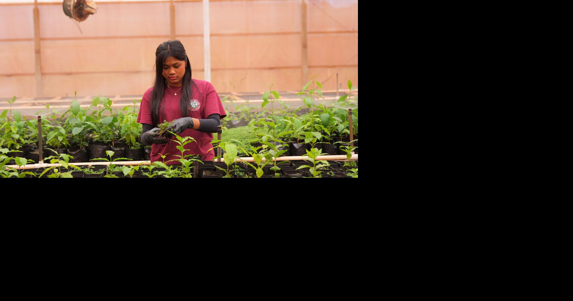 West Oahu high schoolers harvest new skills and experiences at Aloun ...