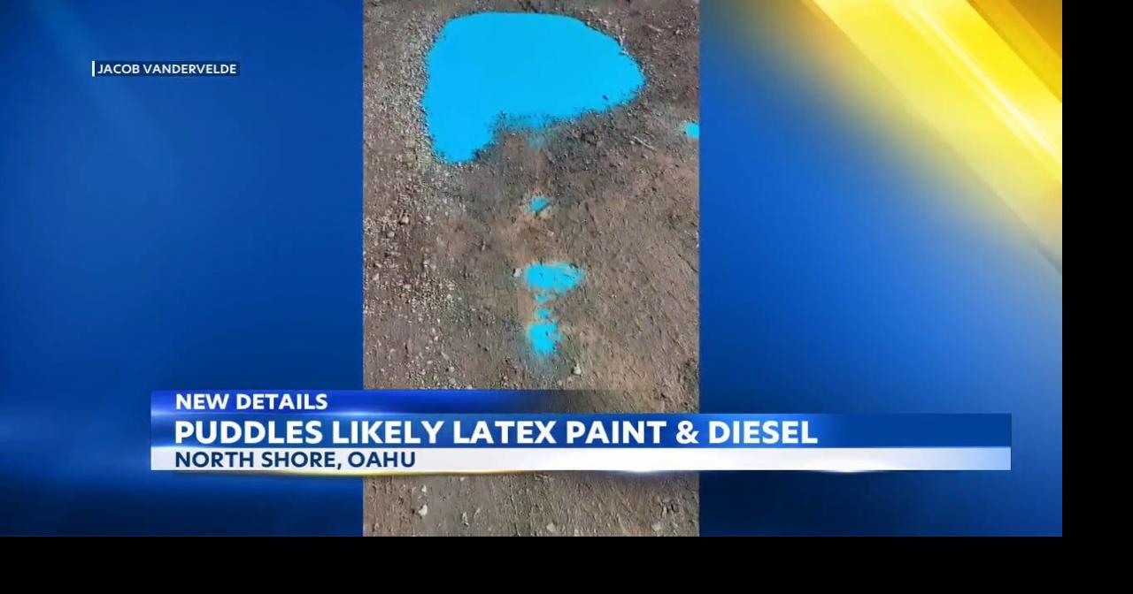 DOT responds to bright blue puddle near Waimea Bay | Video | kitv.com