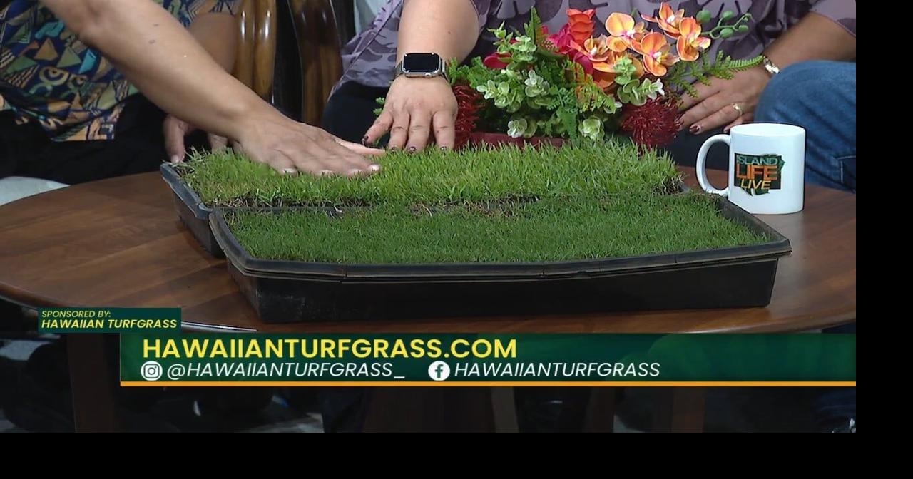 World Cup-worthy Grass Available Exclusively Through Hawaiian Turfgrass ...