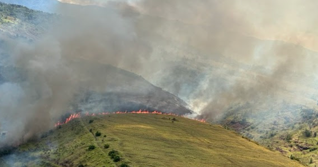 Waimea Canyon Dr. reopens as DLNR responded to flare up in Kokee fire ...