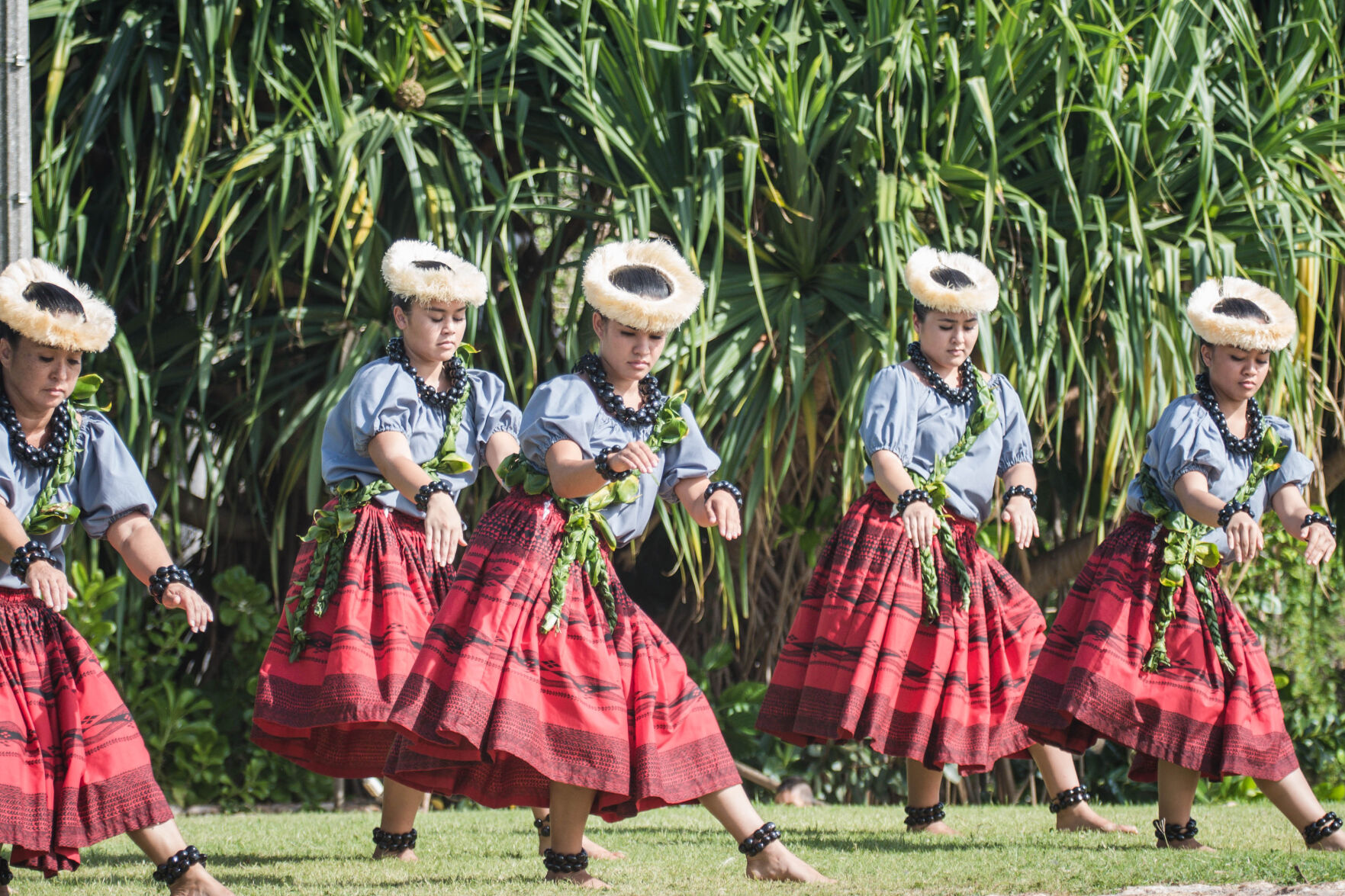 Kapu'uola Hula Festival returns to West Oahu | Local | kitv.com