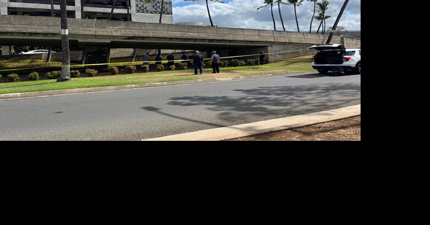 Man dead following stabbing incident at Honolulu Airport | Crime ...