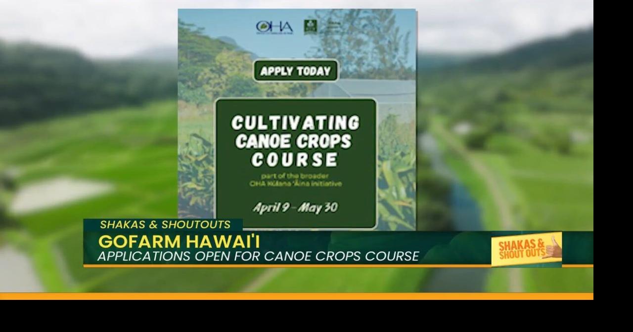 Learn to Plant, Cultivate, Harvest, and Prepare Canoe Crops on Hawaiʻi ...