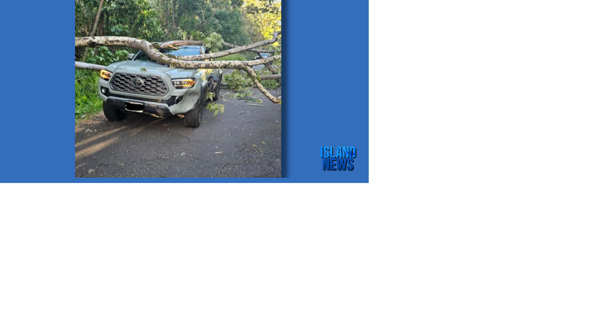Falling tree smashes truck, stopping inches from Big Island woman's ...