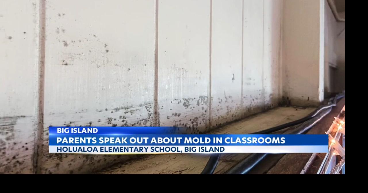 Parents speak out after Big Island elementary school deals with rats ...