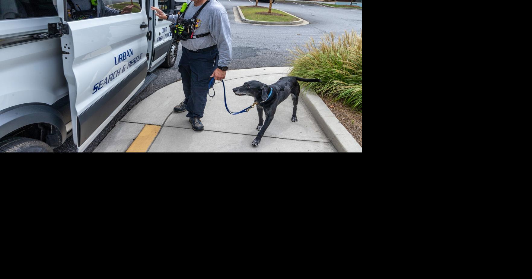 FEMA Search & Rescue Dog pic 4 | | kitv.com