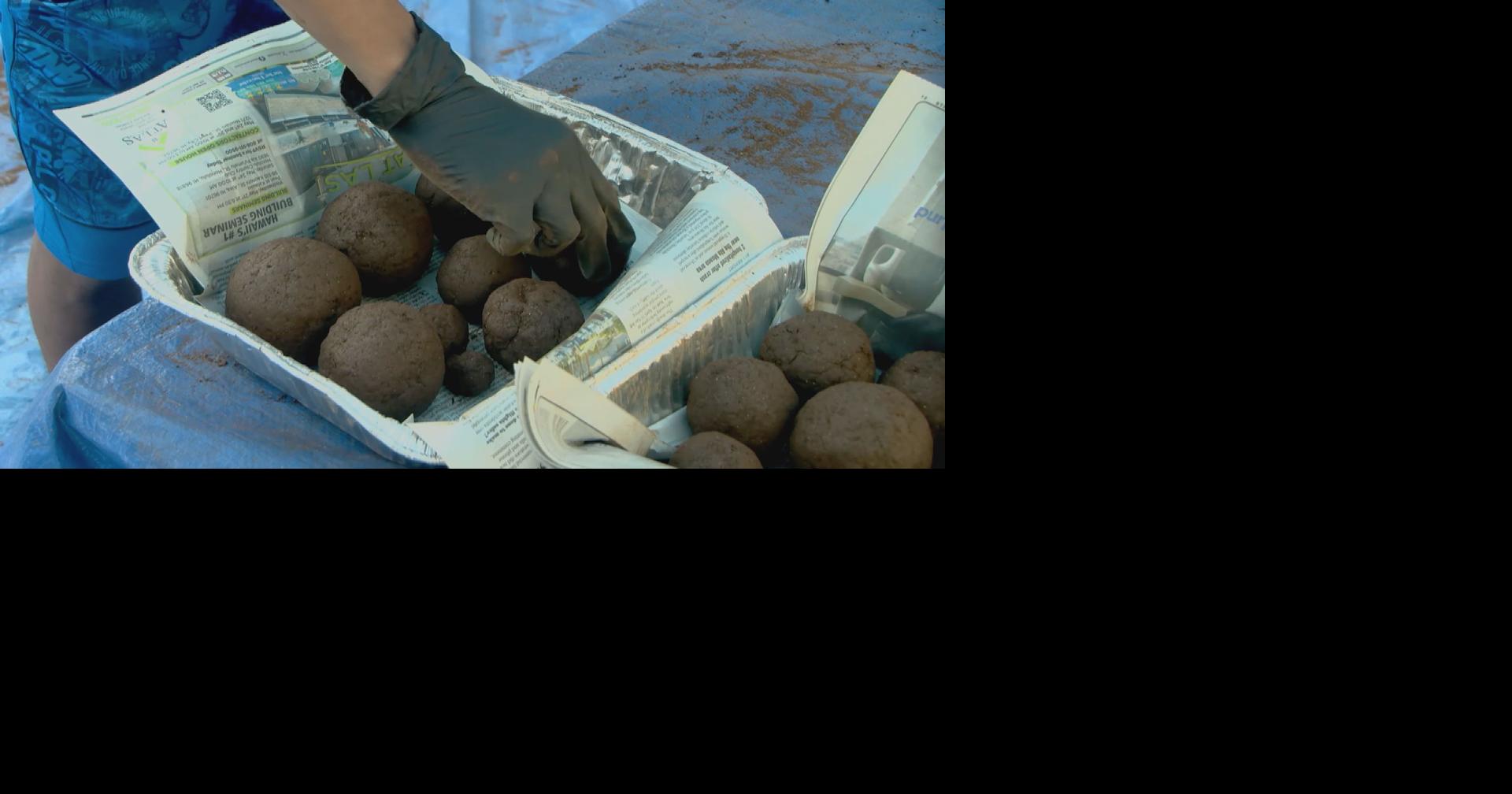 The truth about genki ball benefits | News | kitv.com