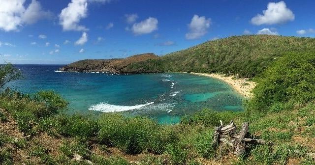 Elderly man who died in Hanauma Bay drowning identified | News | kitv.com