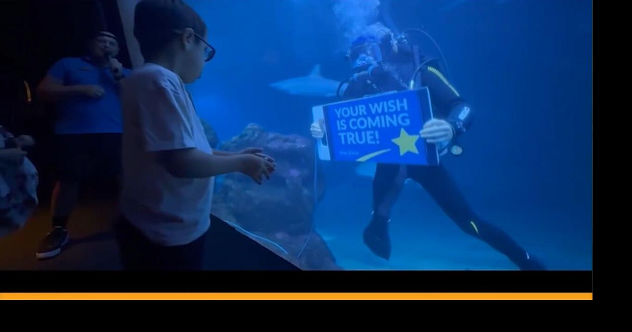 A Disney Dream Come True for 9-Year-Old Maui Boy | Island Life Live ...