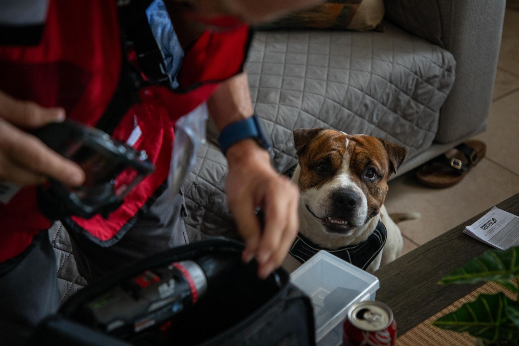 Red Cross seeks volunteers urgently for storm relief across Hawaii ...