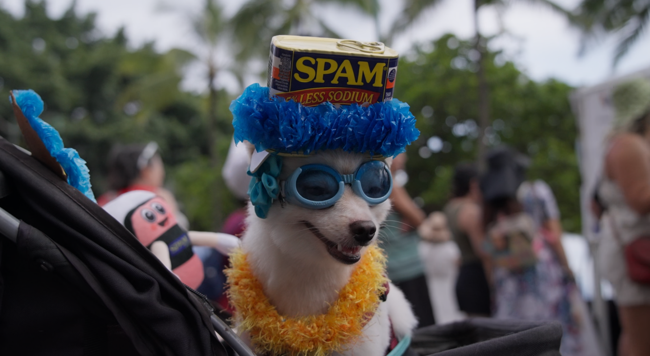 Waikiki SPAM JAM Festival returns April 25 with new drone show ...