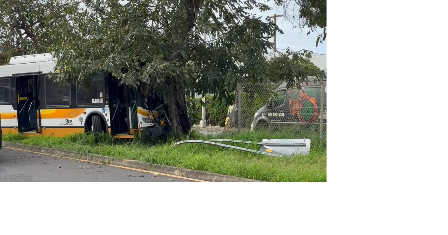 City bus driver dies from injuries after bus hits tree on North ...