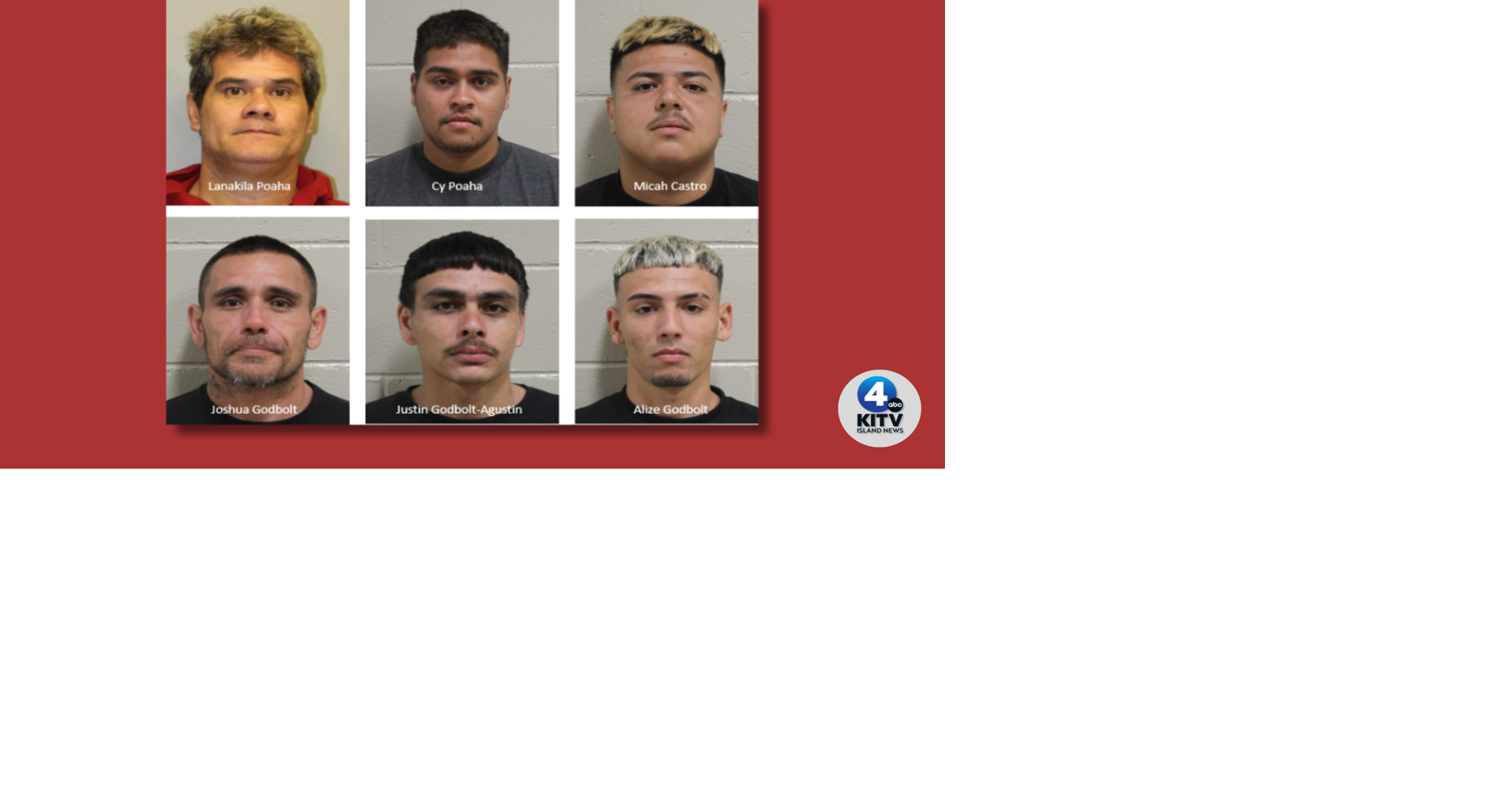 Hawaii Police charge six men with criminal property damage, assault and ...
