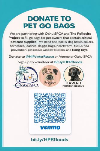 Local organizations rescue animals after historic flooding | News ...