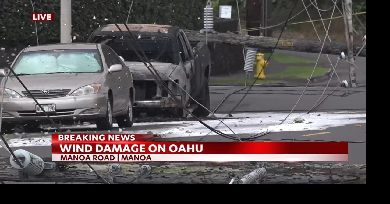 A Manoa road is closed due to downed power lines | Video | kitv.com