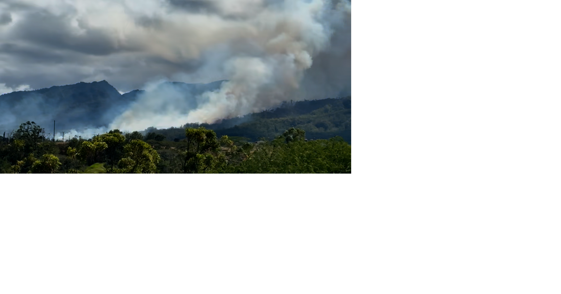 Arson suspected in Kunia wildfire; investigation ongoing | Local | kitv.com