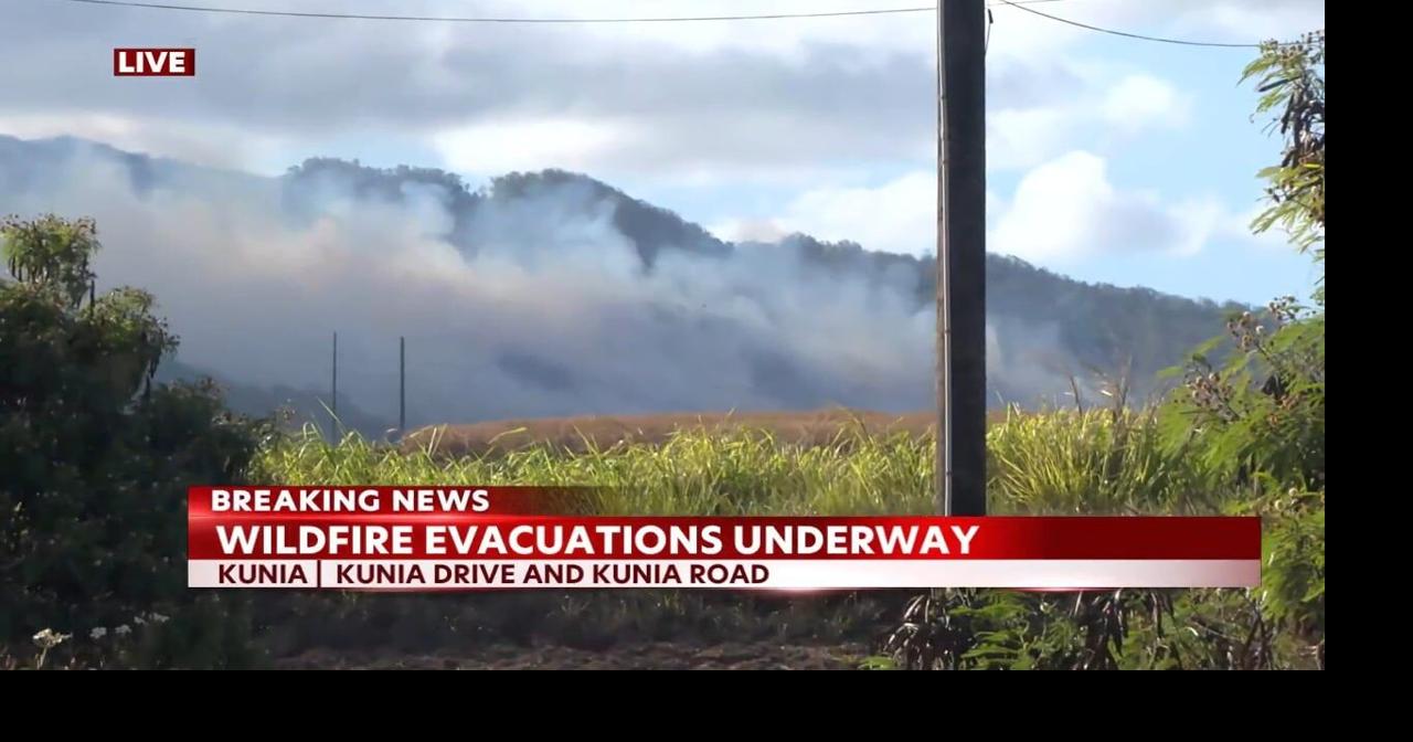 Kunia brush fire prompts evacuation orders | News | kitv.com