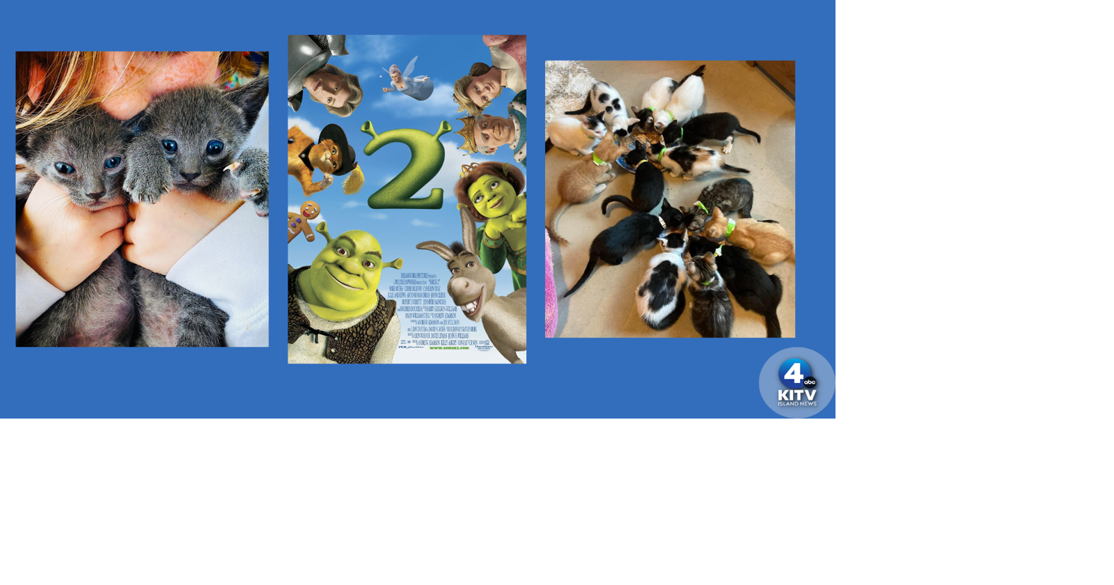 Consolidated Theaters launching Saturday Morning movie program for ...