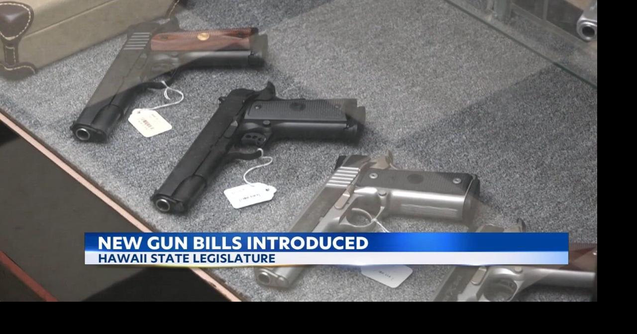Hawaii considers color-coded signs for gun rights on properties | News ...