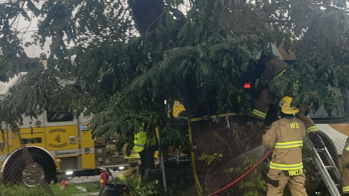 City bus driver dies from injuries after bus hits tree on North ...