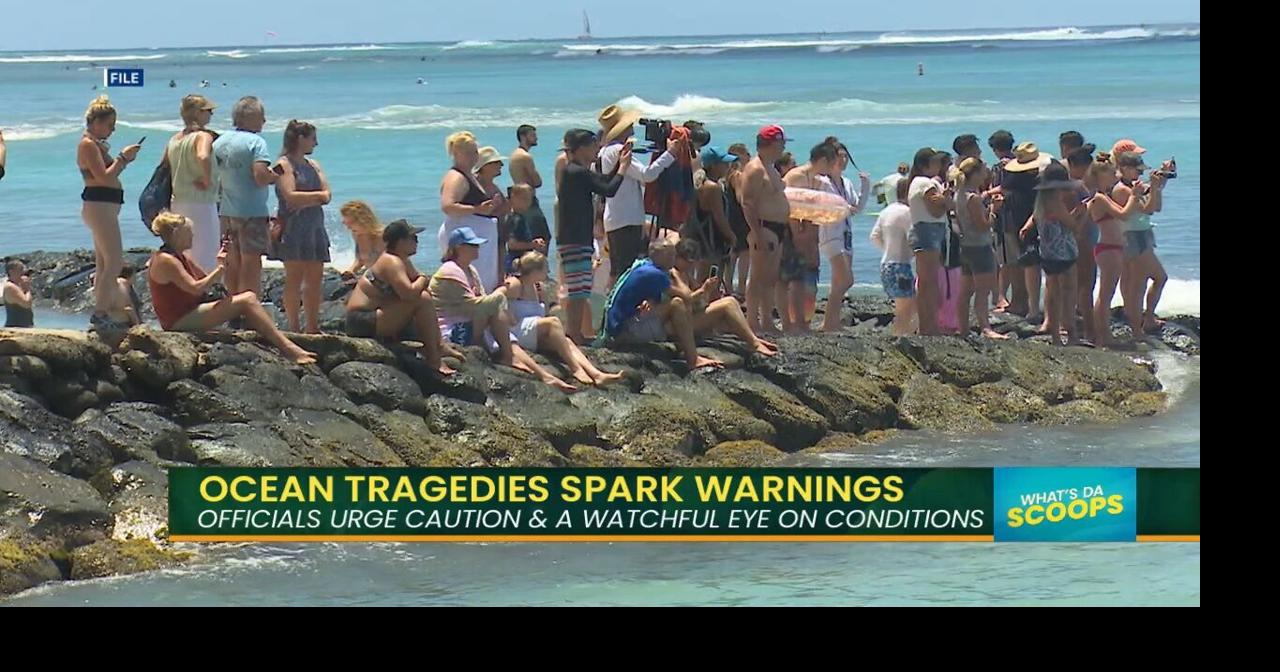 Three Ocean Deaths Last Weekend Raise Red Flags | Island Life Live ...