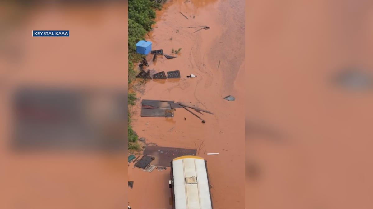 Local organizations rescue animals after historic flooding | News ...