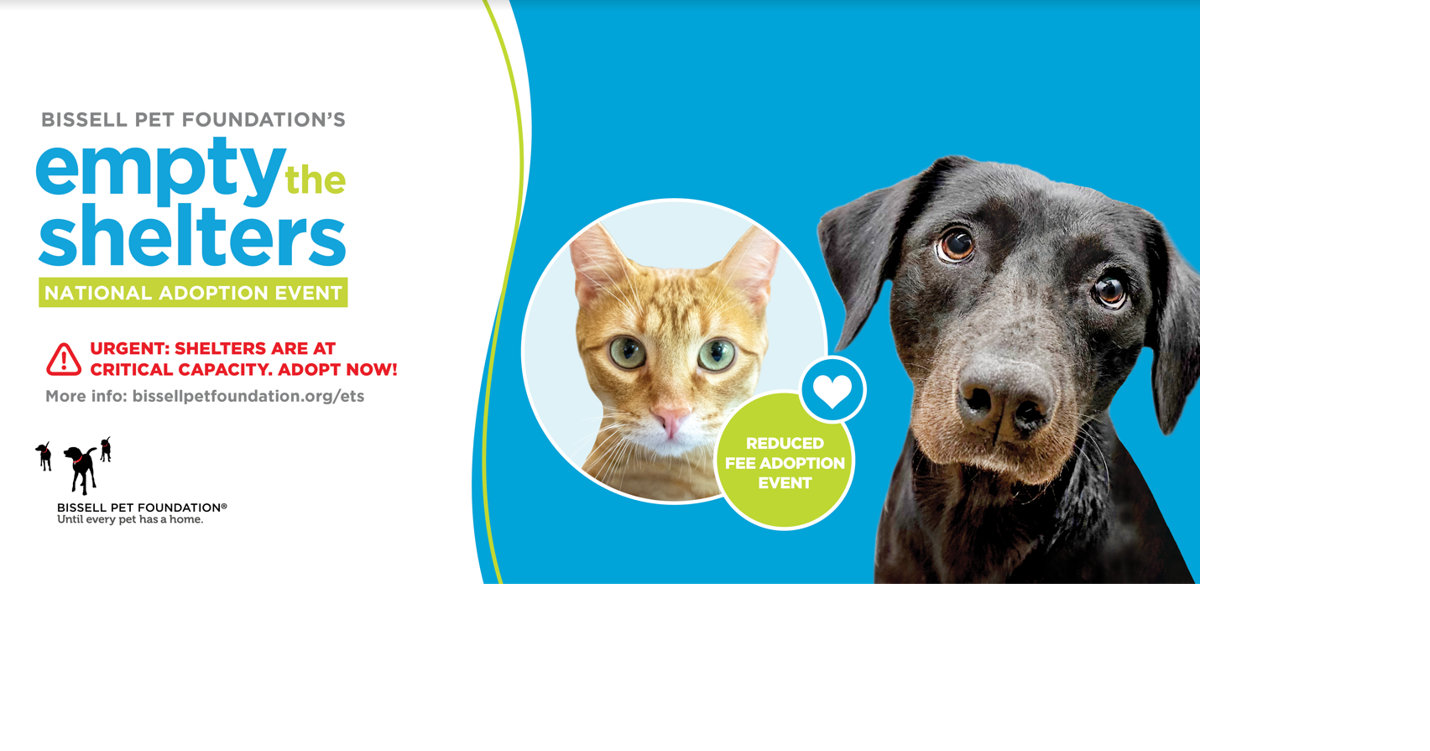 "Empty the Shelters" aims to get pets adopted amid the overcrowding ...